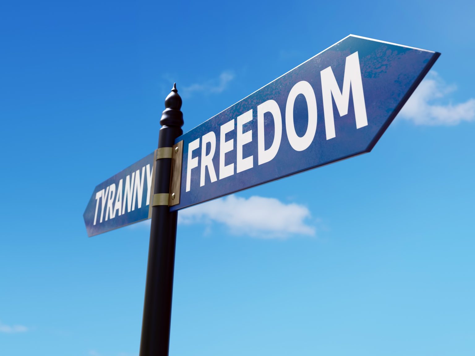 9+ Influences on Political Attitudes: Key Sources & Impact ...