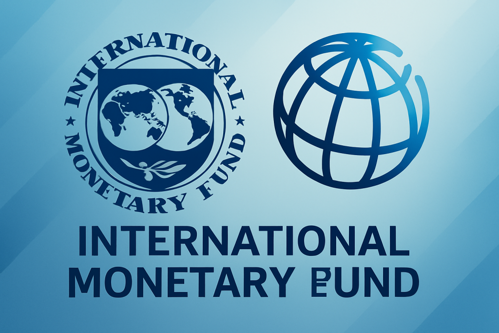 Understanding the Global Impact: The International Monetary Fund and ...