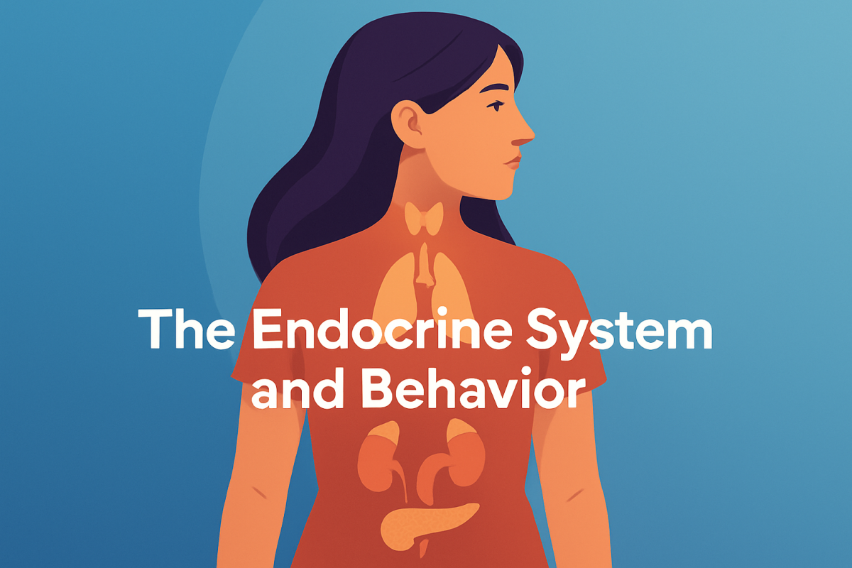 Unlocking the Secrets: How the Endocrine System Influences Your Mood ...